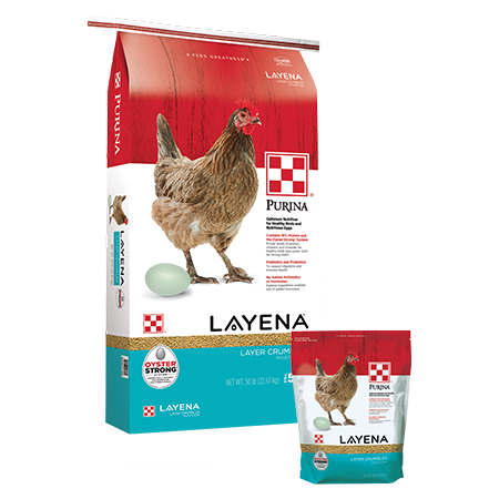 Purina Layena Crumbles | Available at Core Feed | Nutrition for Your Flock