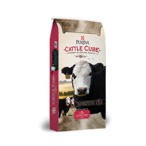 Cattle Cube - CORE FEED