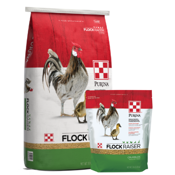 Purina Flock Raiser Crumbles AMP .0125 | Flock At Core Feed