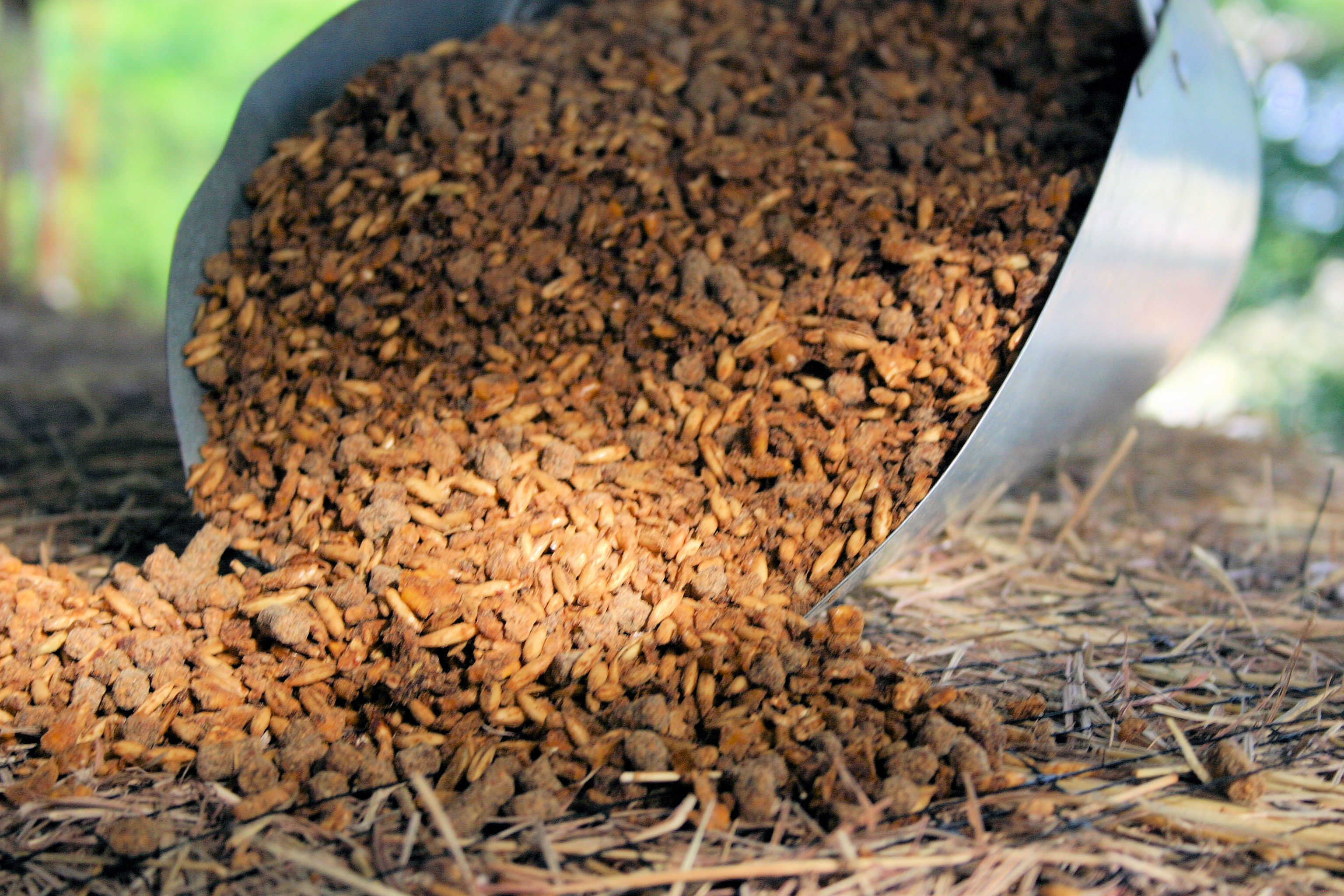 High Quality Feeds Available at Core Feed in Folsom, Louisiana