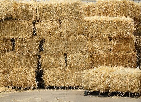 High Quality Hay & Shavings Are Available At Core Feed
