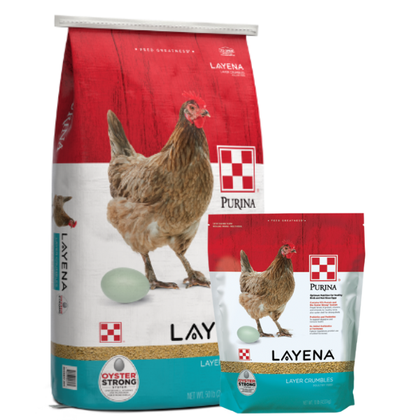 Purina Layena Crumbles | Available at Core Feed | Nutrition for Your Flock